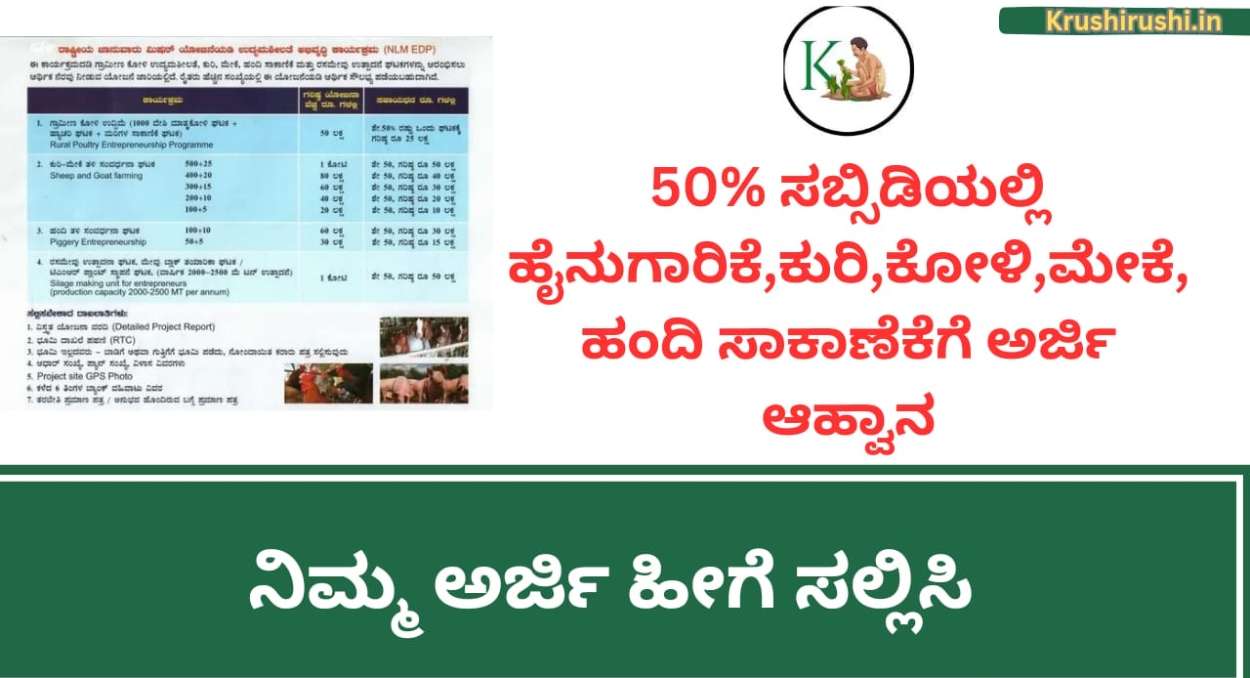 50% ಸಬ್ಸಿಡಿಯಲ್ಲಿ ಹೈನುಗಾರಿಕೆ,ಕುರಿ,ಕೋಳಿ,ಮೇಕೆ,ಹಂದಿ ಸಾಕಾಣೆಕೆಗೆ ಅರ್ಜಿ ಆಹ್ವಾನ ...